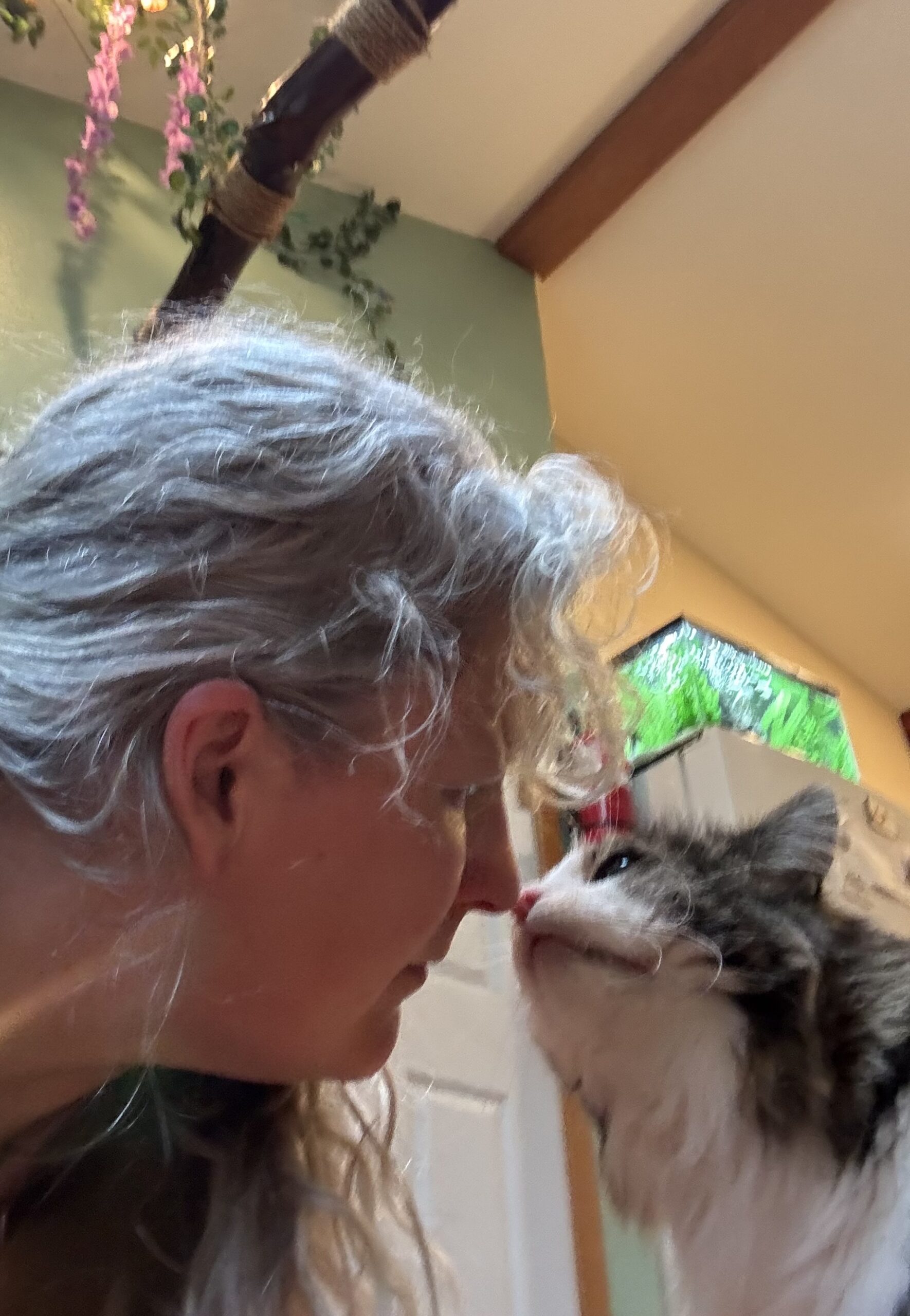 Pet Sitting